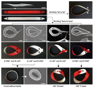 2019-清华大学杨振忠课题组网站